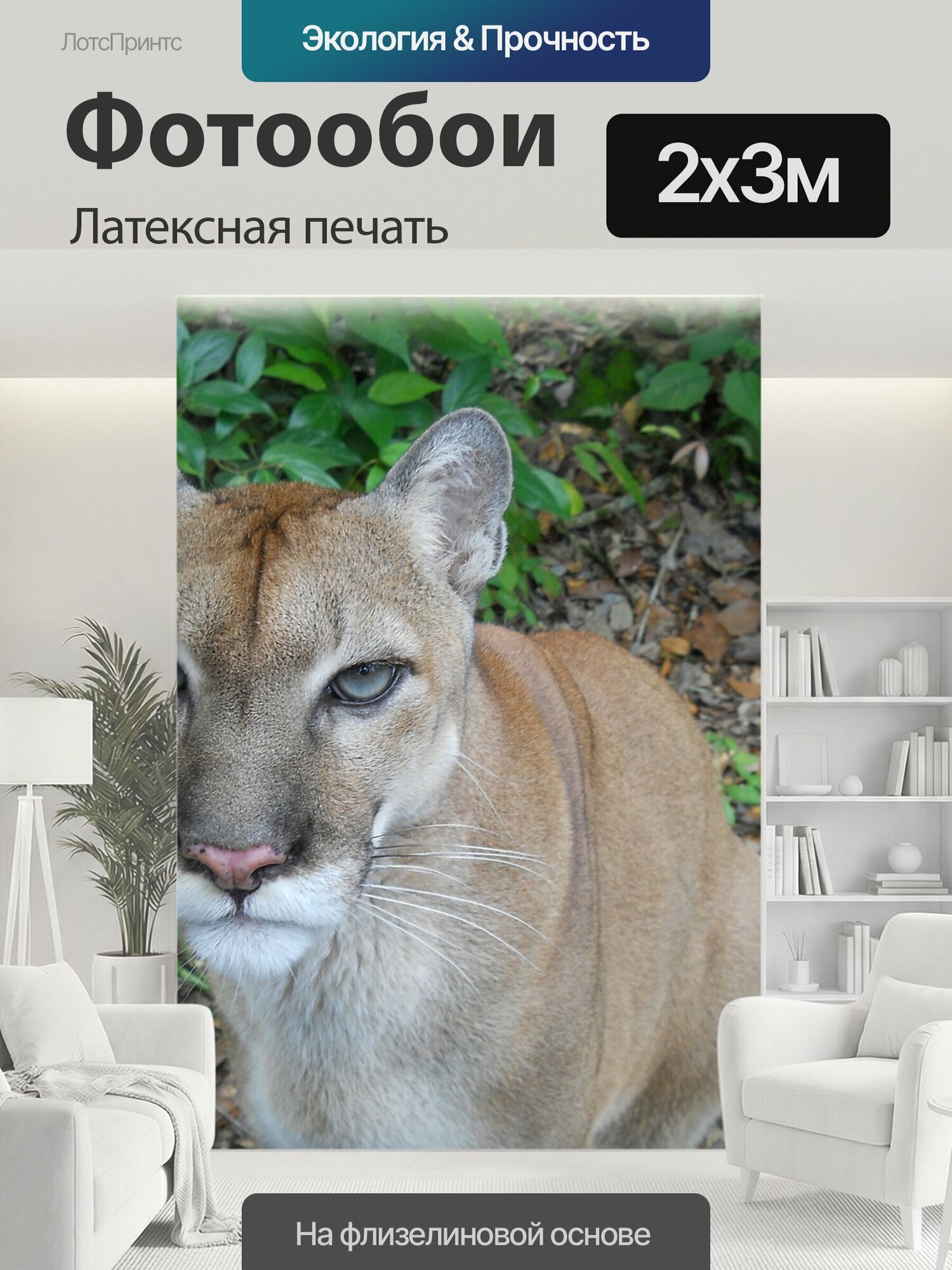 Фотообои моющиеся ударопрочные "Пума, кошка, дикая природа" 200x300 см. латексная печать