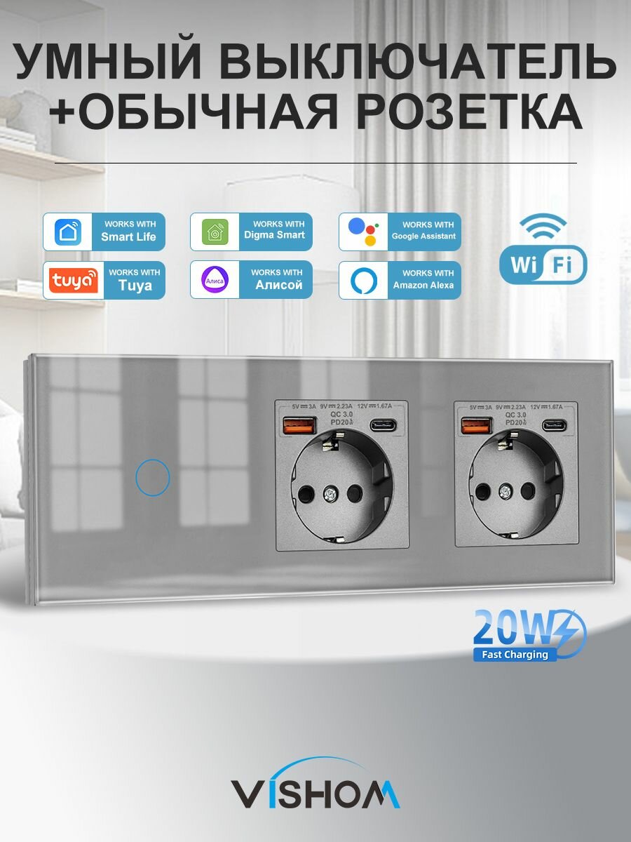 Умный сенсорный WIFI выключатель с розеткой USB и Type C портами в одной стеклянной рамке, одноклавишный + 2 обычные розетка с usb быстрая зарядка, Серый