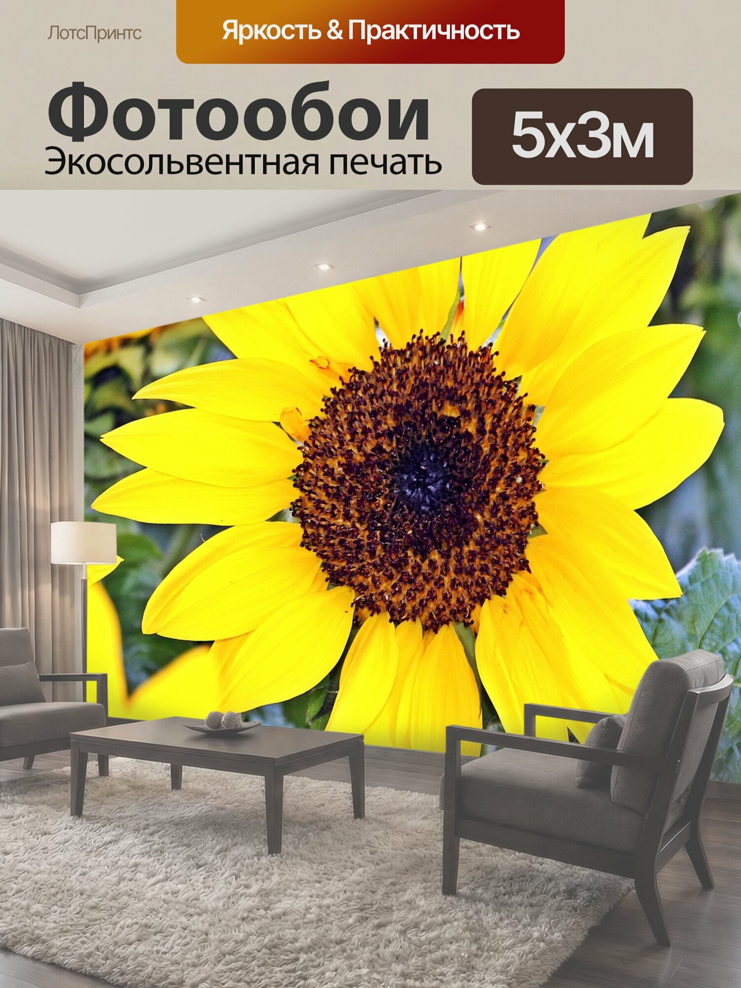 Фотообои "Подсолнухи, цветок, расцветает" 500x300 см. экосольвентная печать