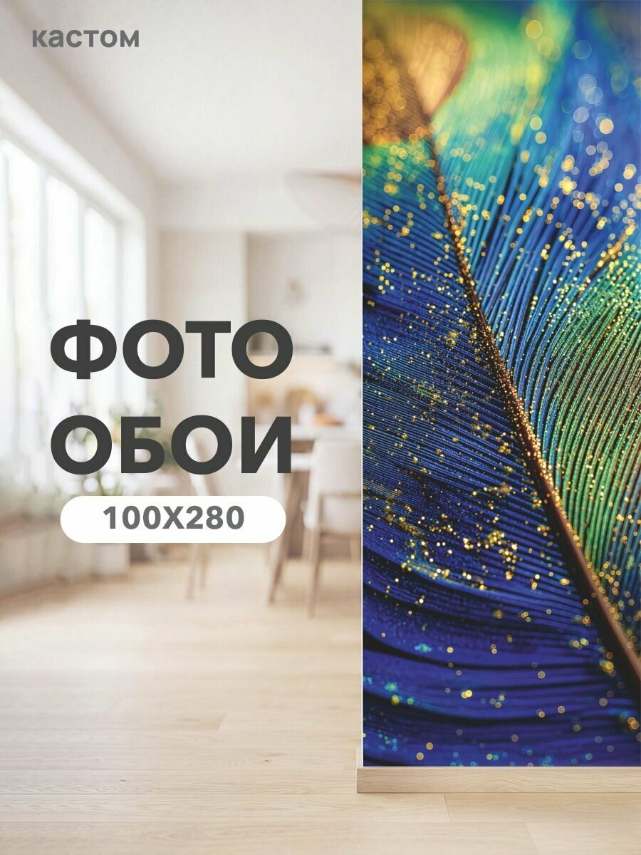 Фотообои на стену флизелиновые 3d Перья 100х270 см