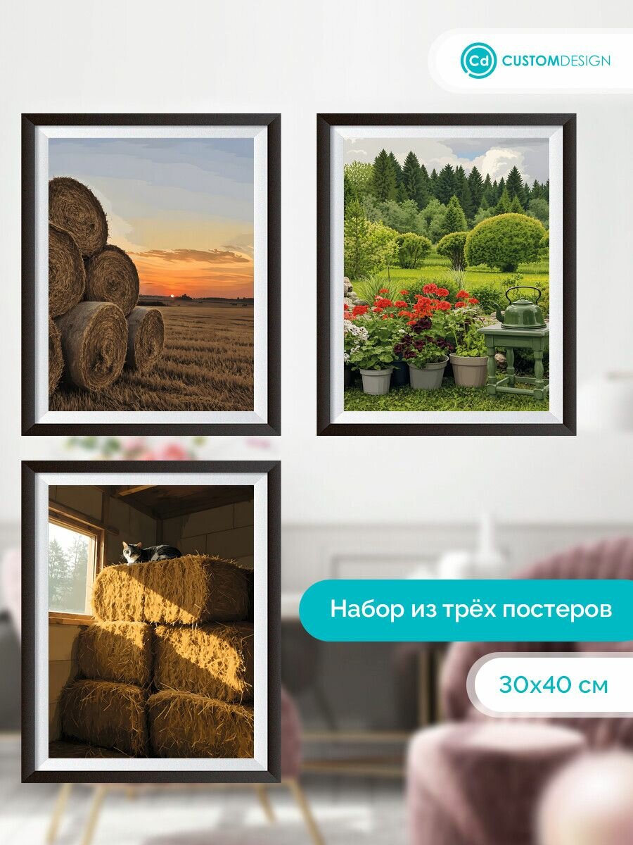 Постеры на стену для интерьера Дача 30х40 см 3 штуки
