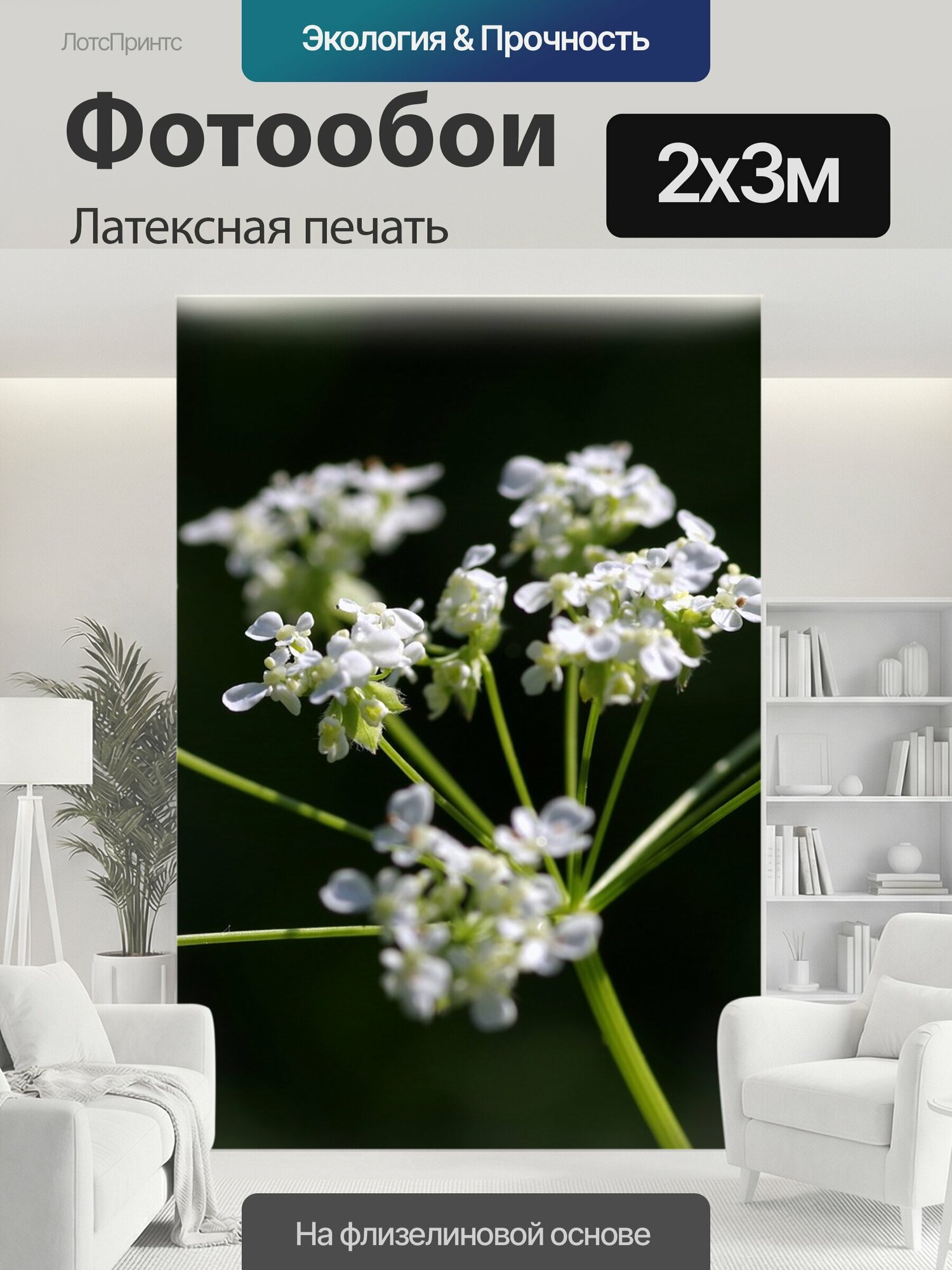 Фотообои моющиеся ударопрочные "Укроп, дикий, цветок" 200x300 см. латексная печать