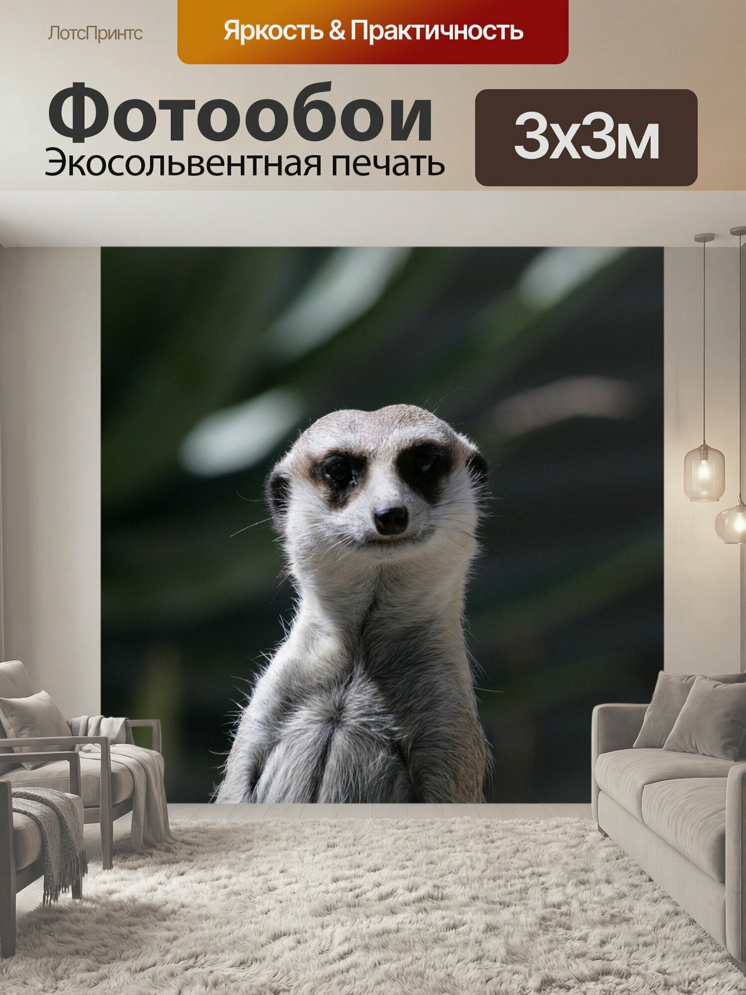 Фотообои "Мангуст, мангуста, дикие животные" 300x300 см. экосольвентная печать