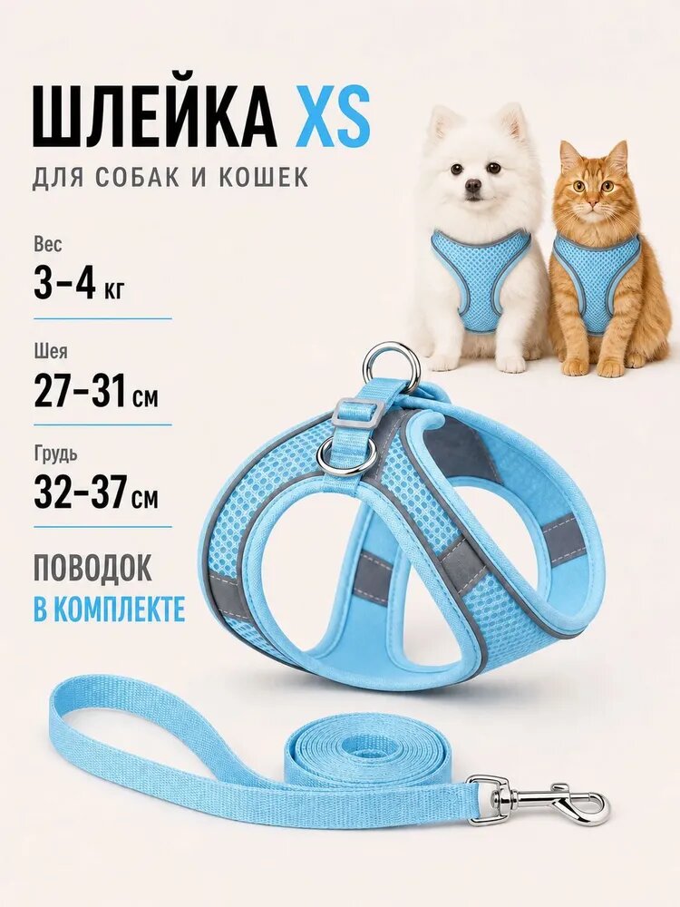 Шлейка для котят, кошек и собак мелких пород, обхват груди 32-37, дышащая со светоотражающими элементами, с поводком, голубой, размер XS