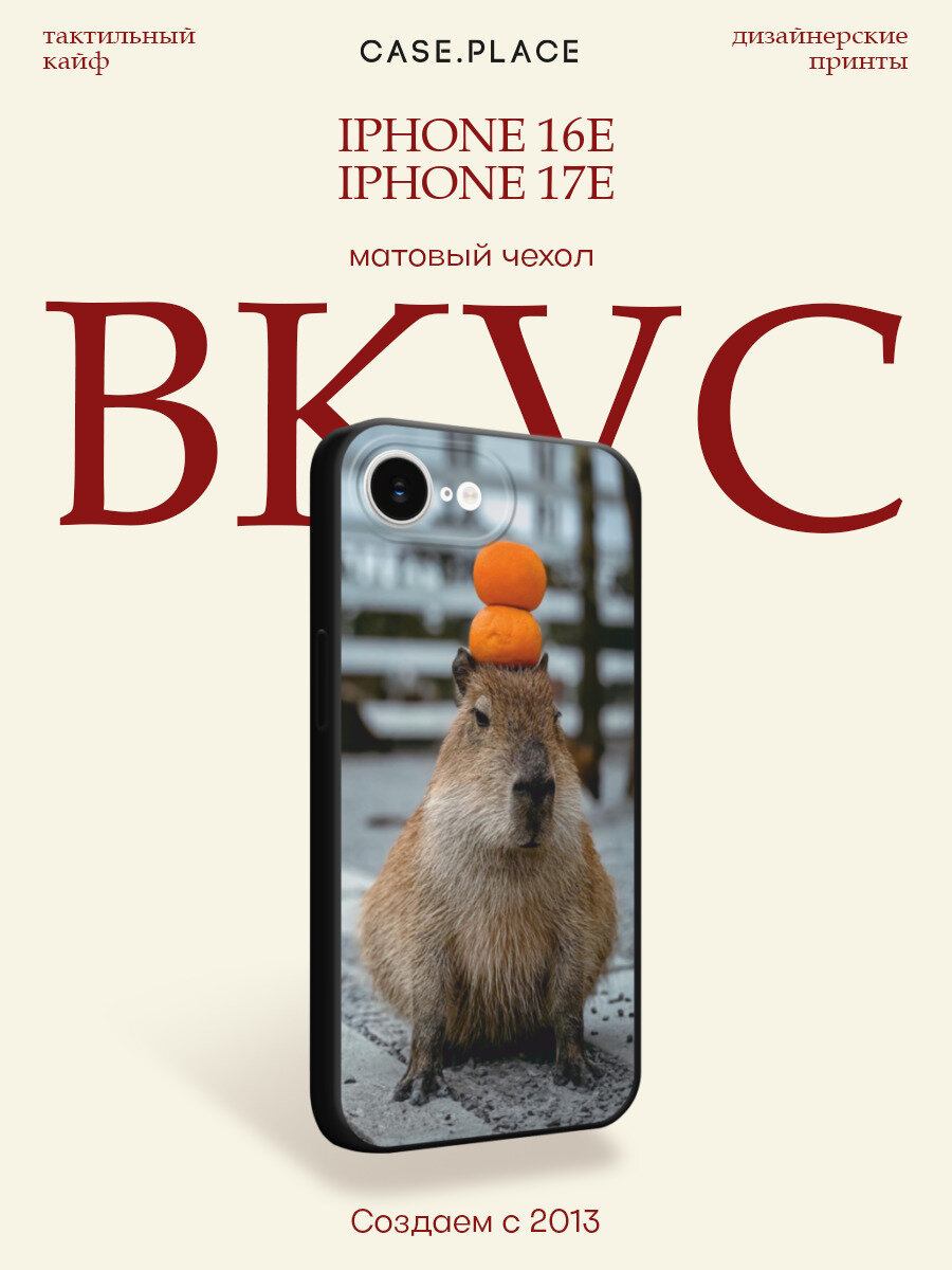 Чехол на Apple iPhone 16e / Айфон 16е с принтом Капибара медитирует