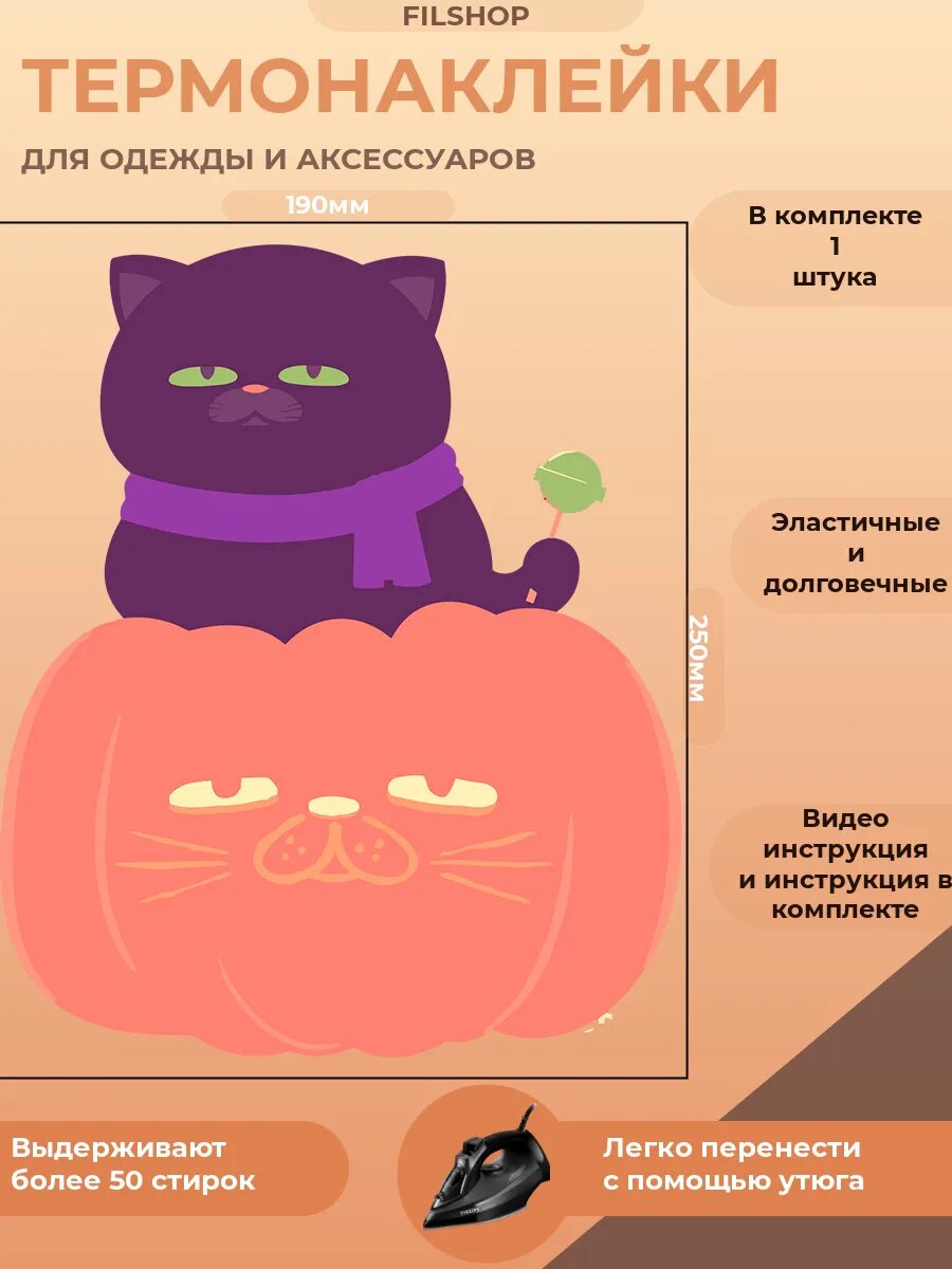 Термонаклейка на одежду серьезный кот