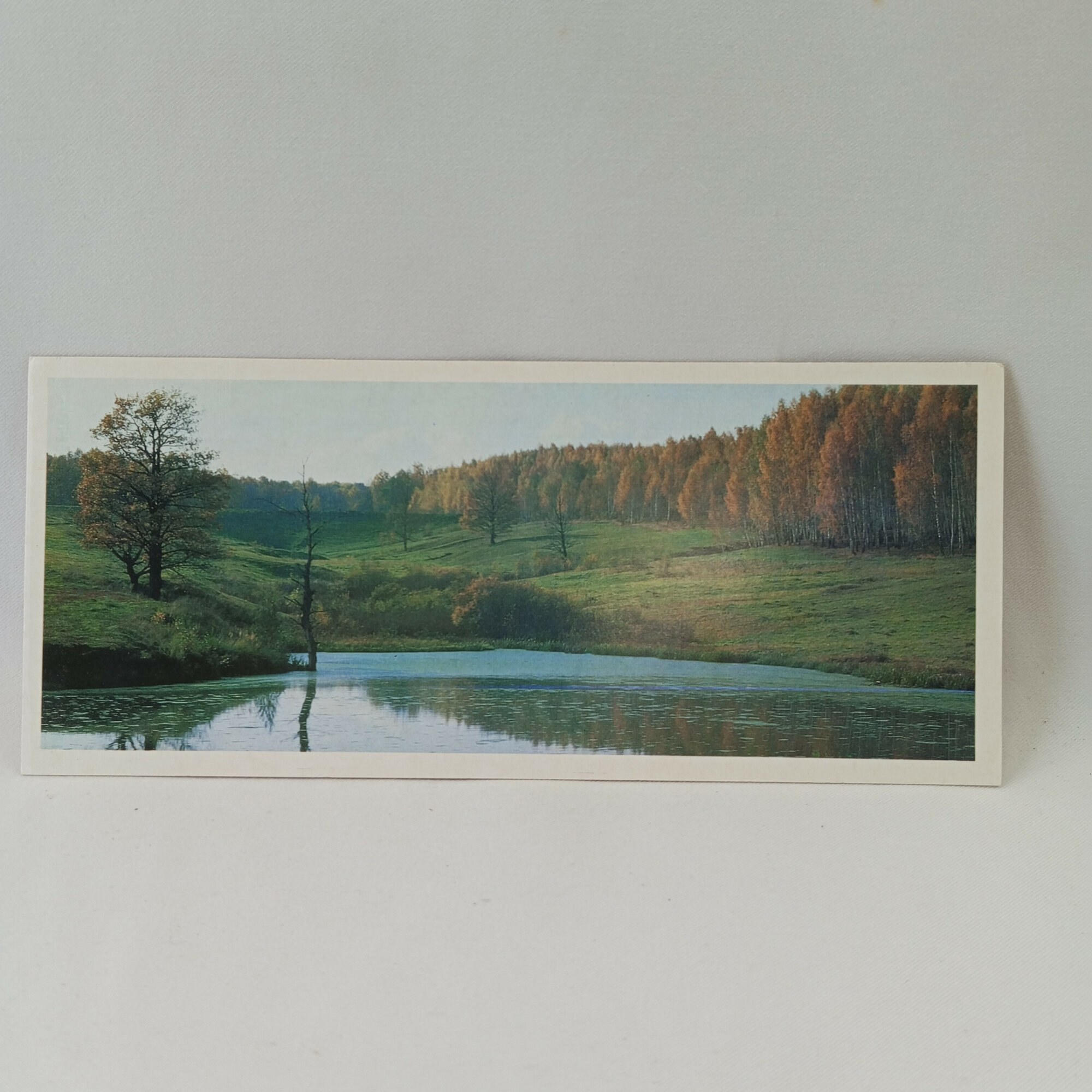 Открытка советская СССР. Ясная Поляна, пейзаж с прудом и лесом, музей Льва Толстого. винтаж