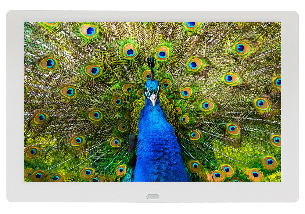 Фоторамка Digma 10.1" 1280x800 белый пластик ПДУ Видео (PF1043W)