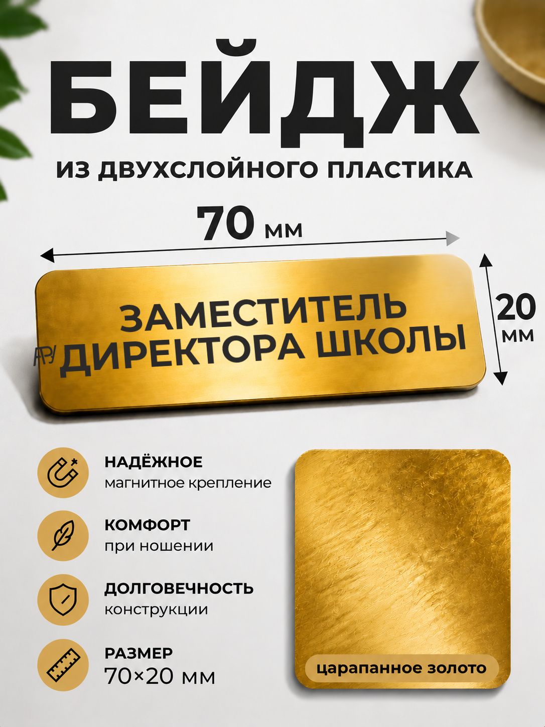 Бейджик на магните Заместитель директора школы