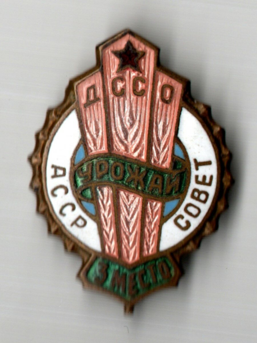 Знак 3-е место первенства дссо (добровольного сельского спортивного объединения) "Урожай", латунь, эмаль, булавка, 1950-1970-е гг.
