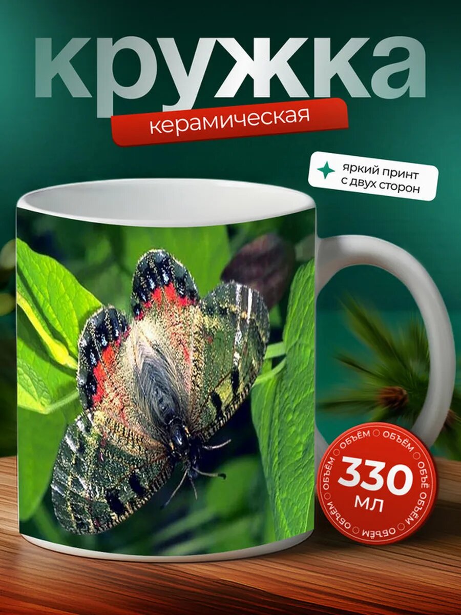 Кружка Аполлон насекомое 4,