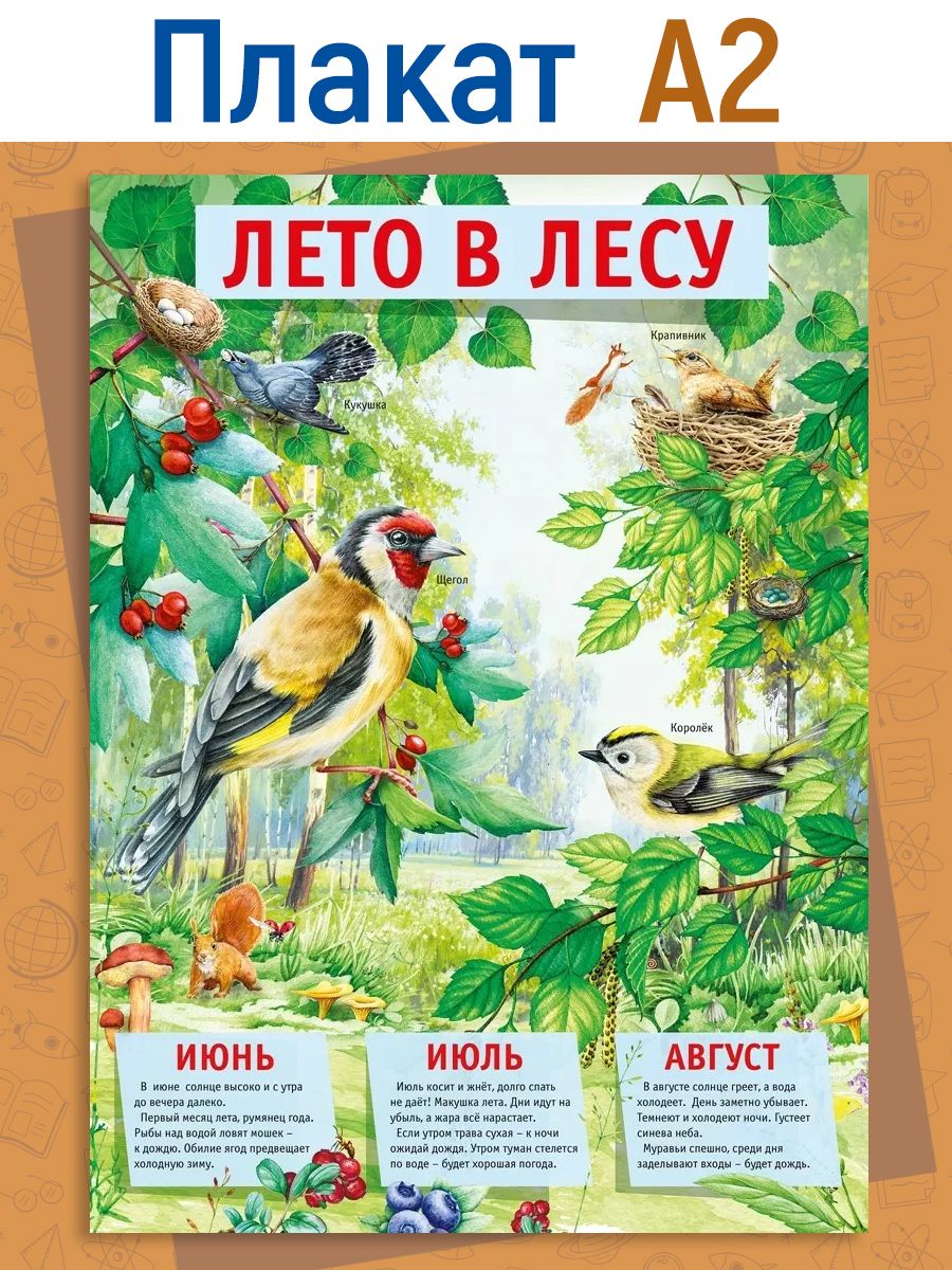 Плакат Лето в лесу, а2