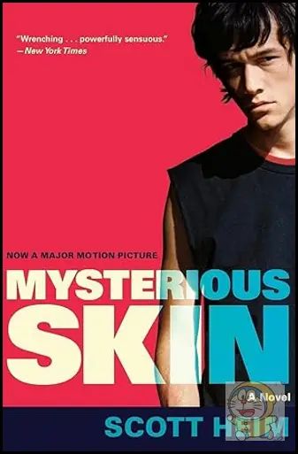 Mysterious Skin 2005 5 10