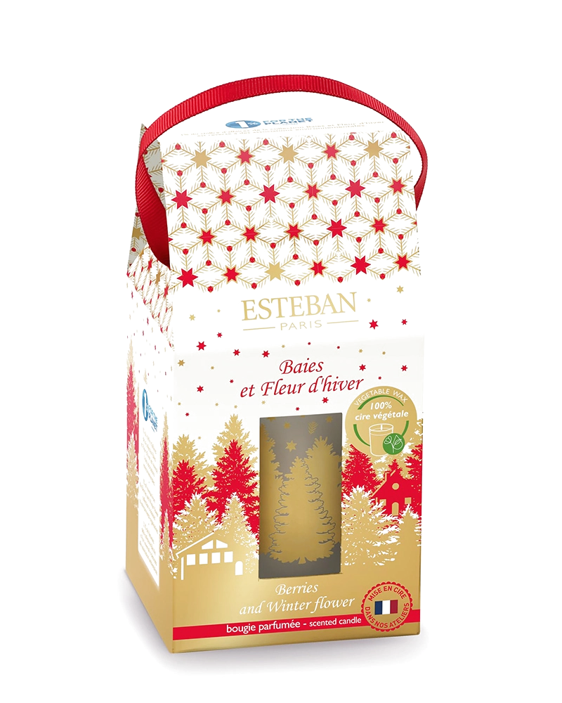 Ароматическая свеча для дома Esteban Berries and Winter Flower 180 гр - Эстебан Ягоды и Цветок