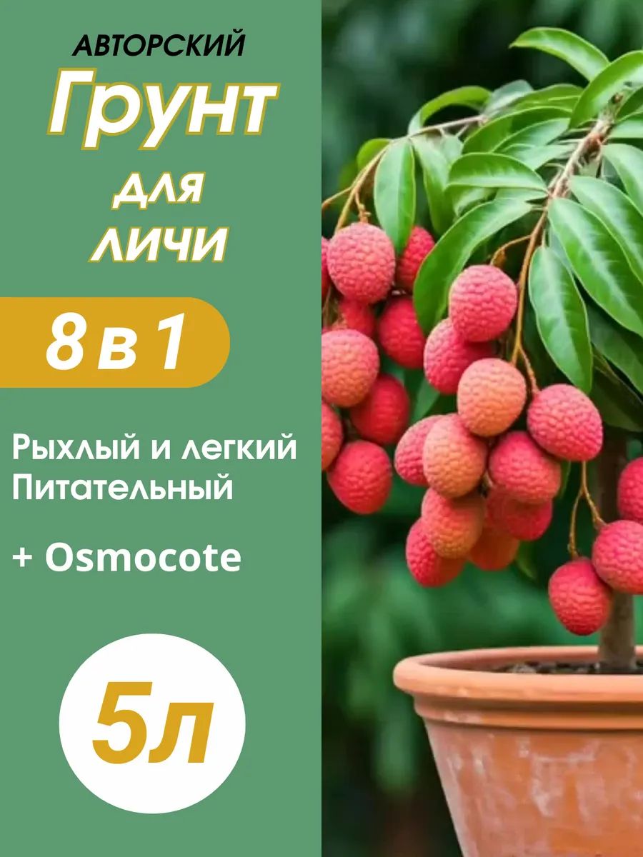 Грунт для Личи 5л готовый