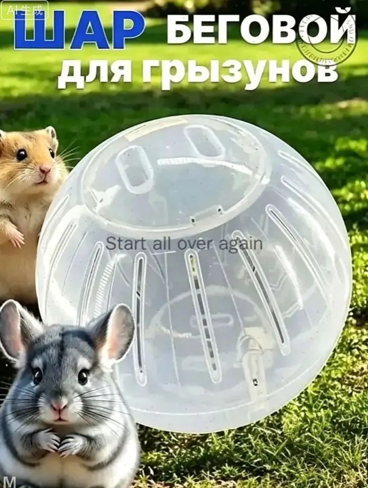 Прогулочный беговой шар для грызунов, хомяков и крыс, диаметром 14.5 см, разборный, прозрачный и белый, считается качественным.