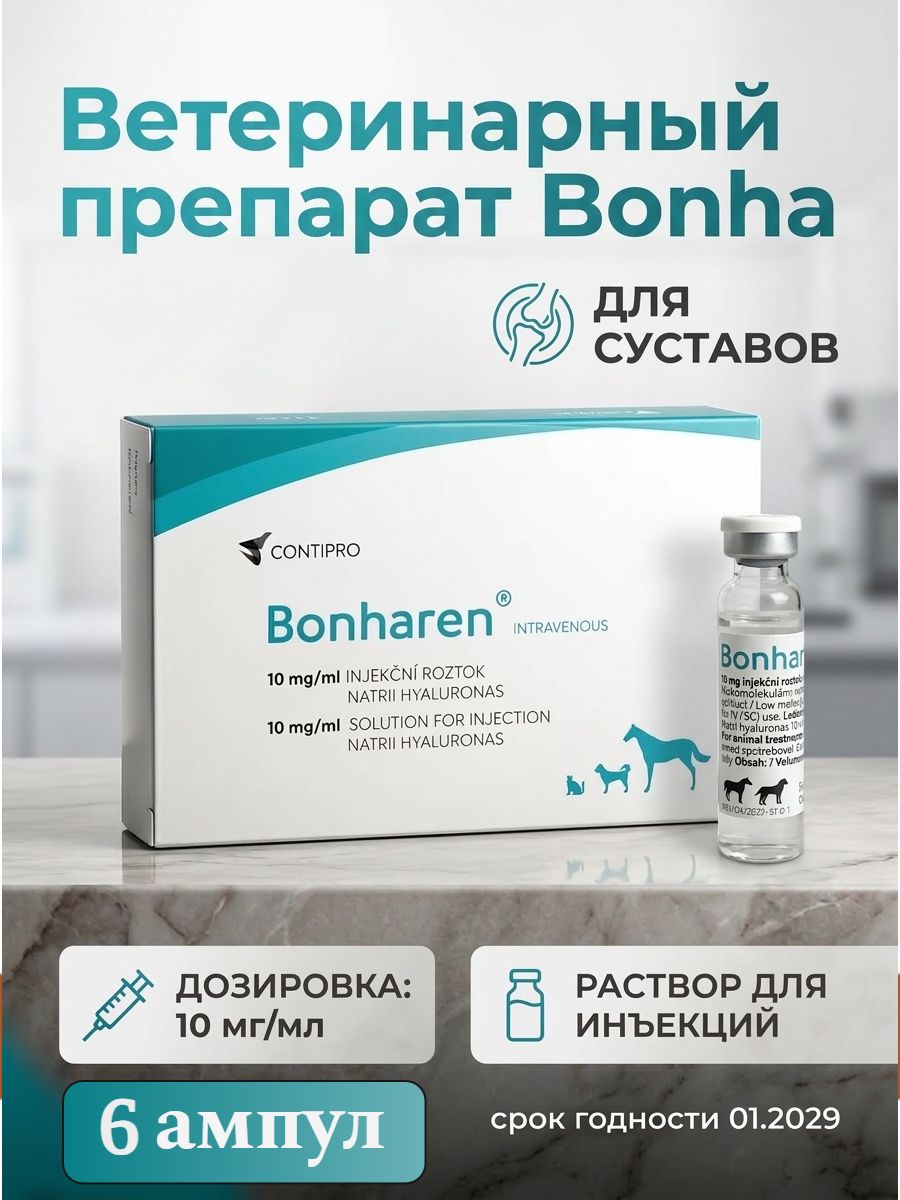 Bonharen 10 мг/мл, раствор 6 шт