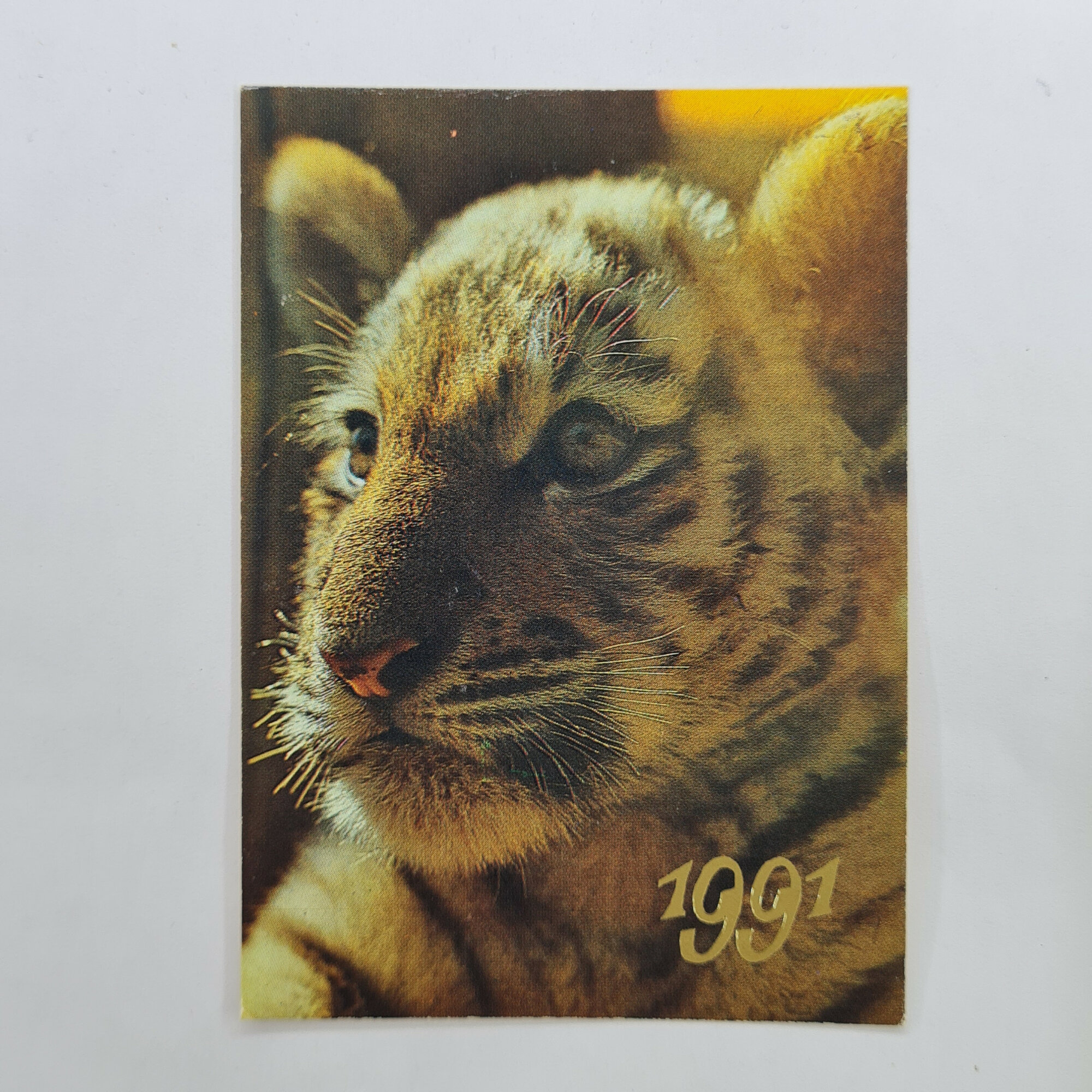 Карманный календарик 1991. Портрет детеныша тигра на лицевой стороне. Календарь винтажный