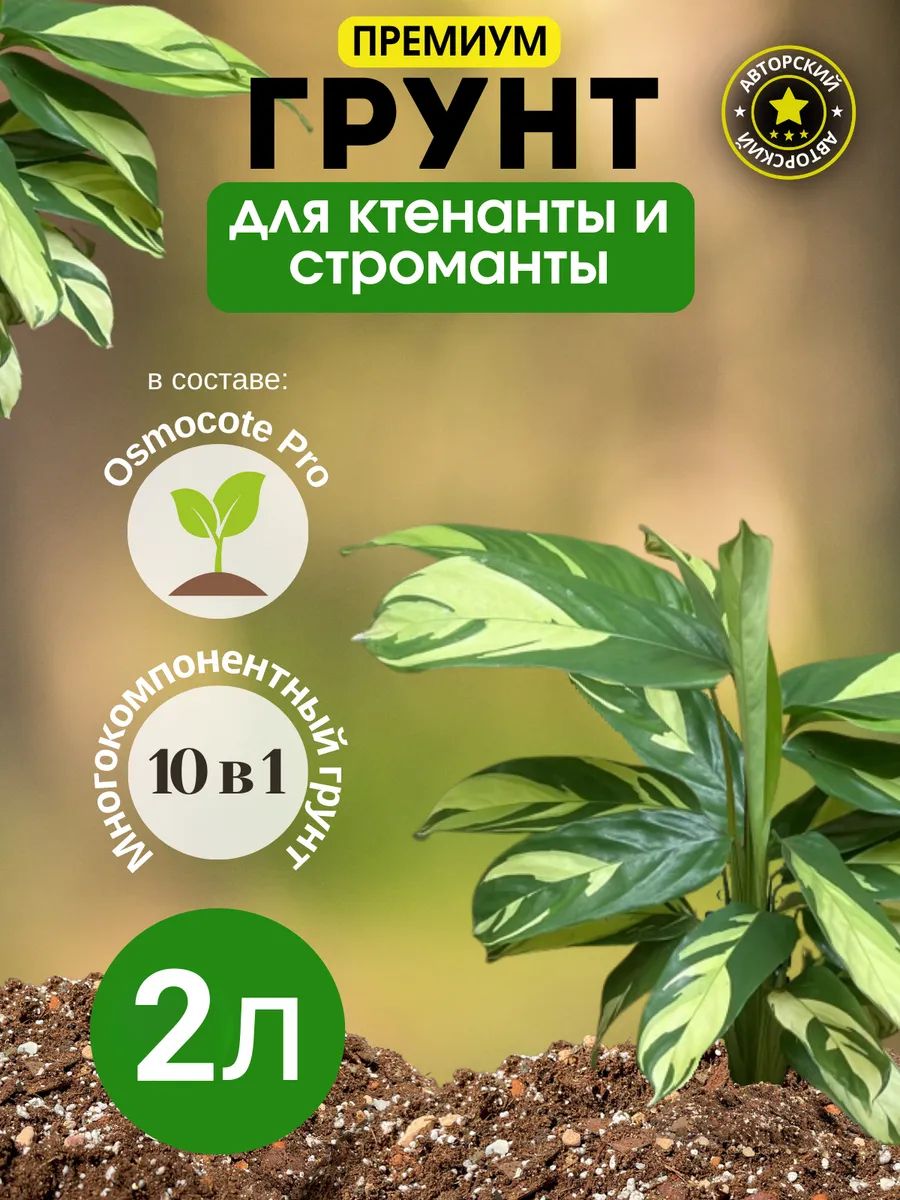 Грунт для Ктенанты и Строманты 2л готовый премиум