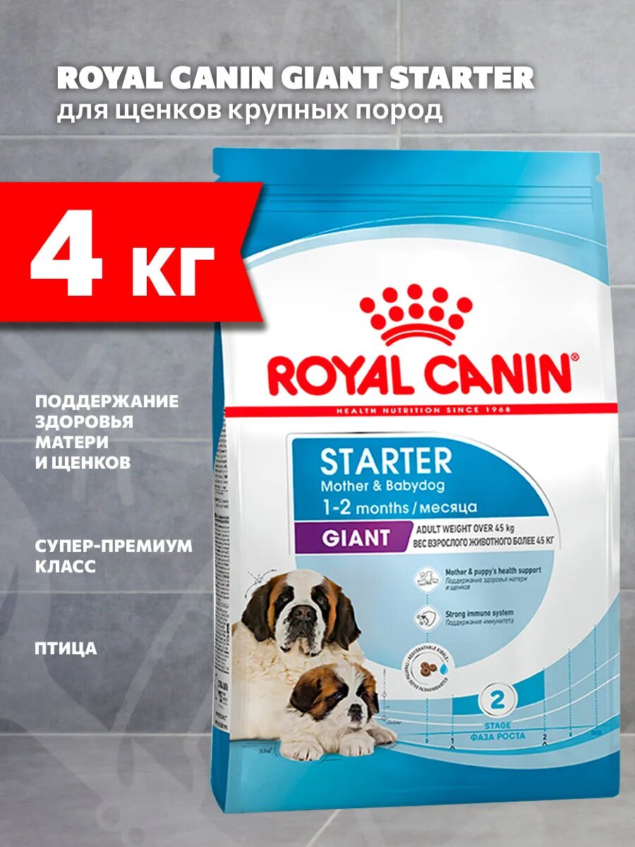 Корм сухой Royal Canin Giant Starter для щенков крупных пород до 2 месяцев, беременных и кормящих собак, 4 кг