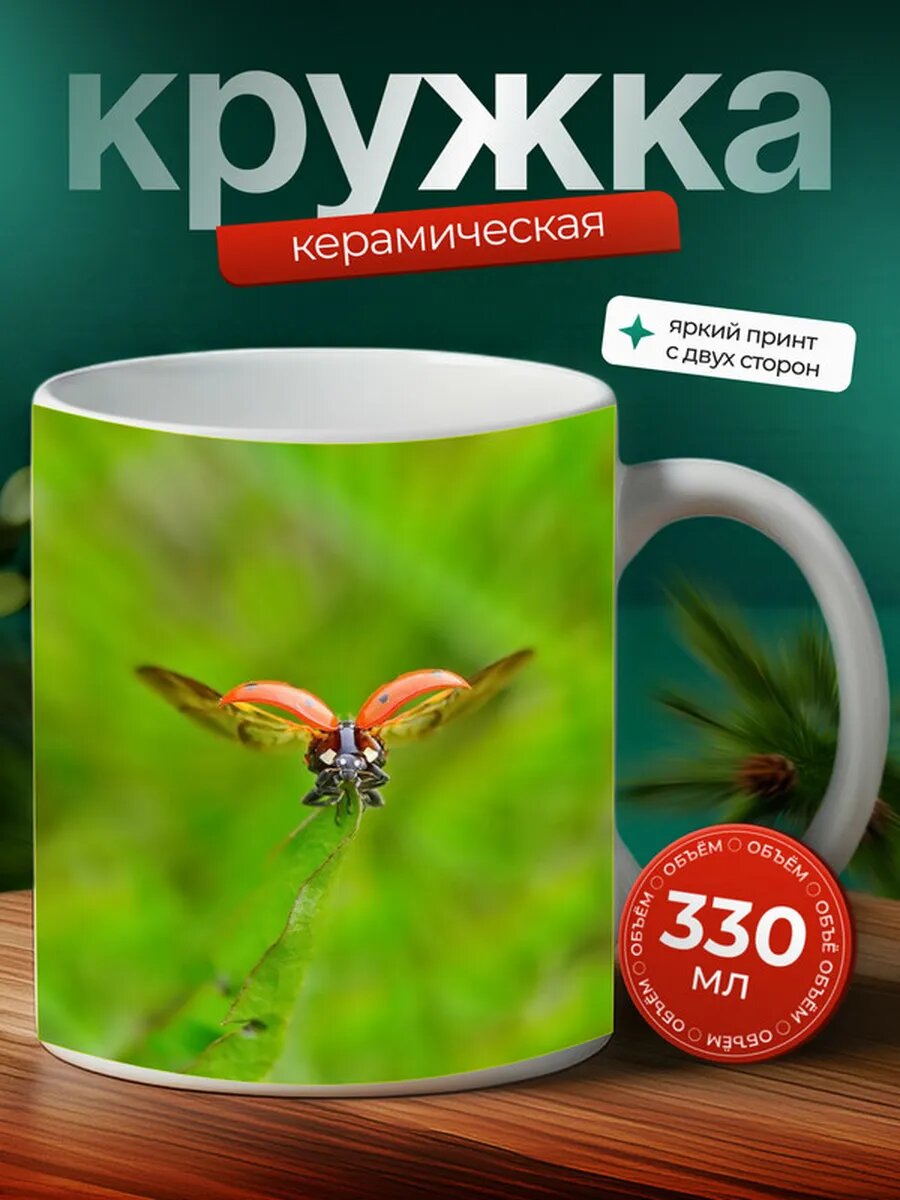 Кружка Божья коровка насекомое 17,