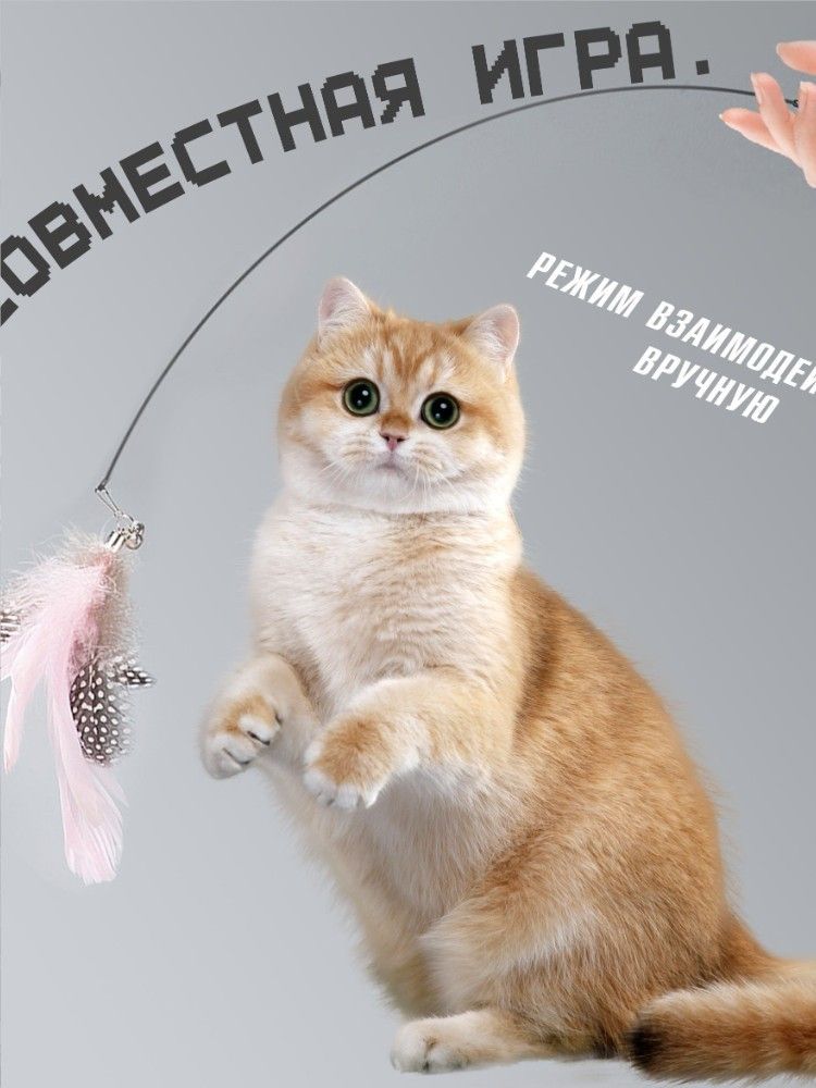 Игрушка для животных — фото 1