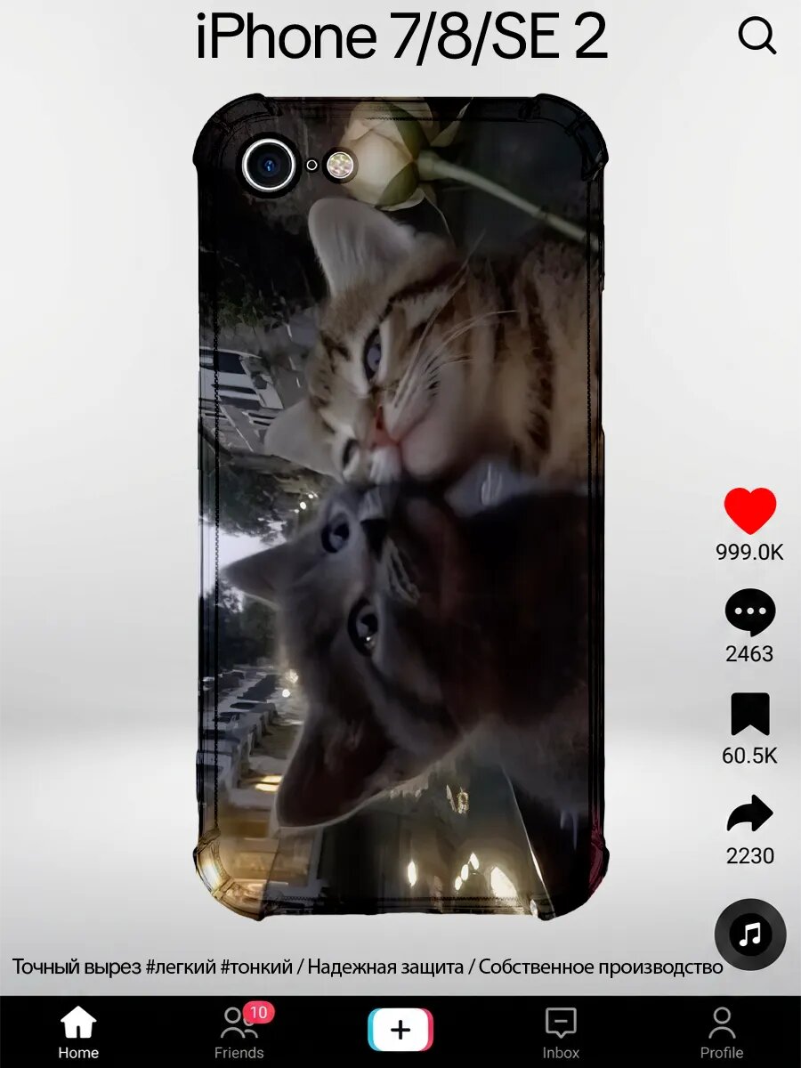 Чехол на iPhone 7/8/SE 2 котята и белая роза