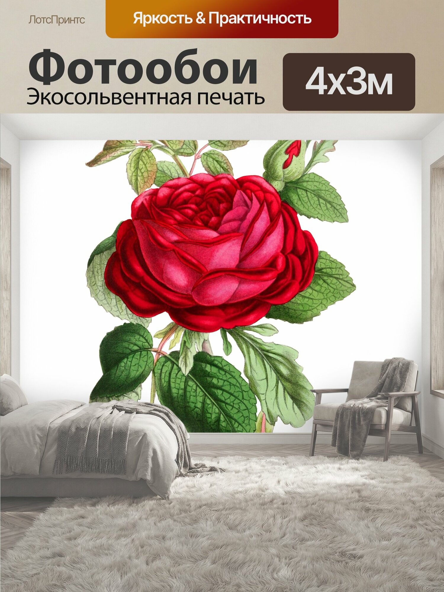 Фотообои "Нарисованный цветок розы Роза цветок цветение ручная роспись акварель креатив вырезать прозрачный фон Роза цветок цвести ручной." 400x300 см. экосольвентная печать