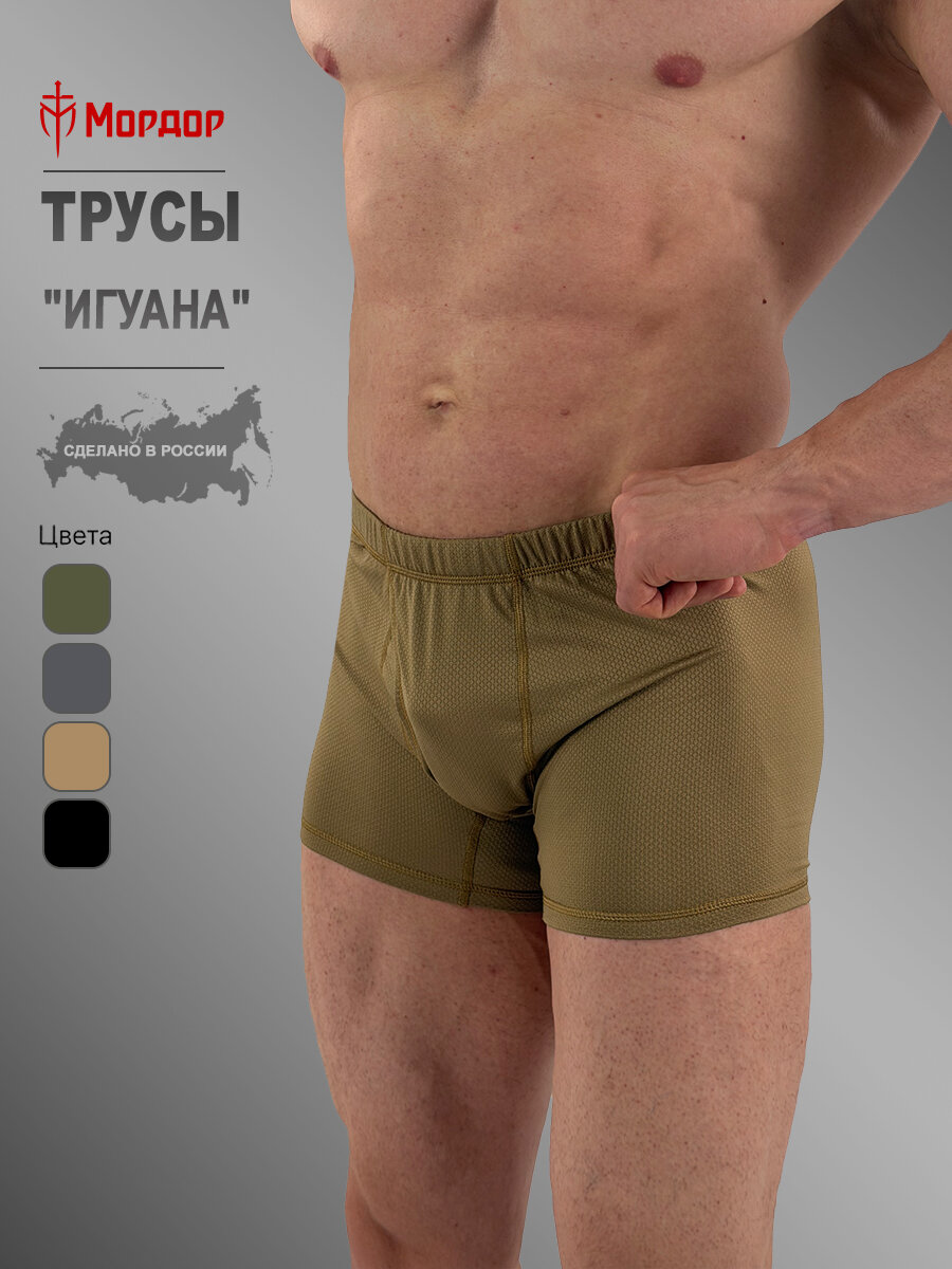Термотрусы Мордор Игуана