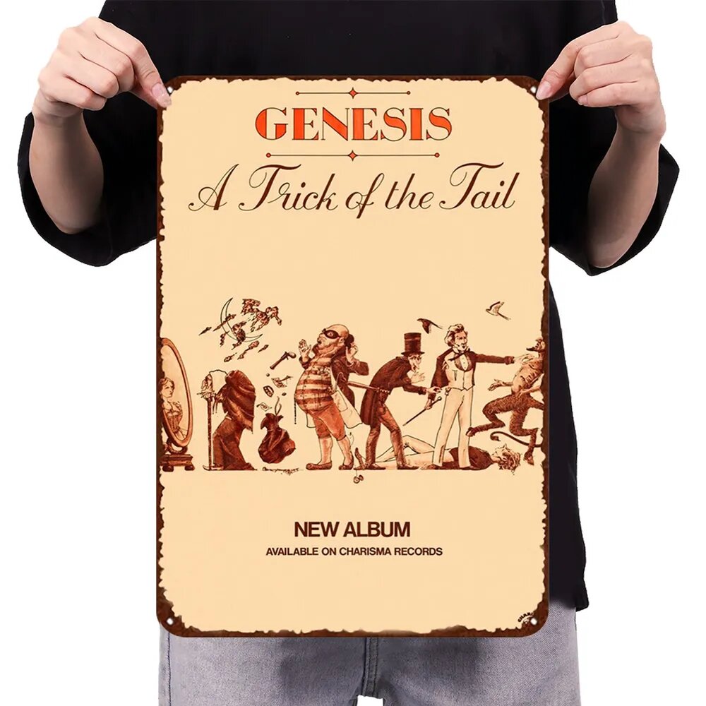 Металлическая картина Genesis , 30 40 см, прямоугольная