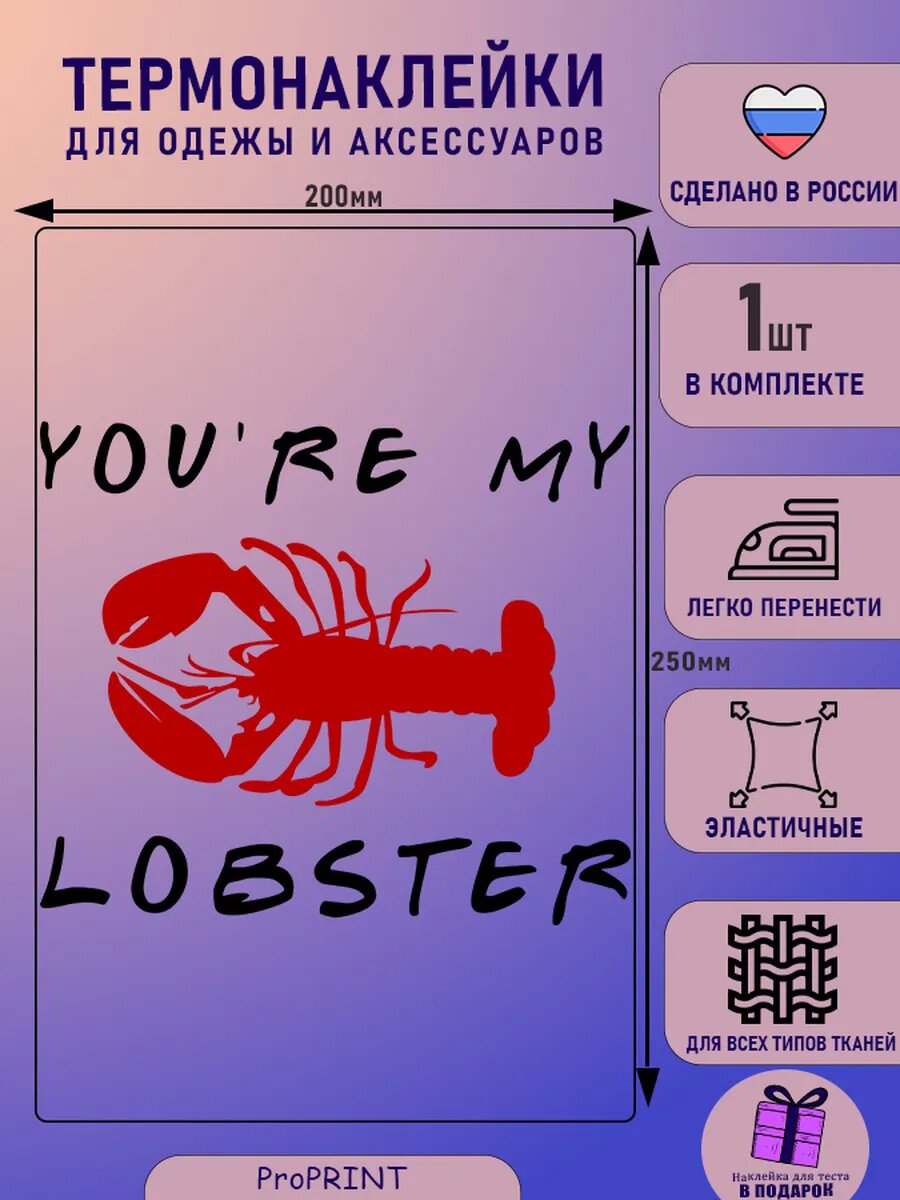 Термонаклейка на одежду