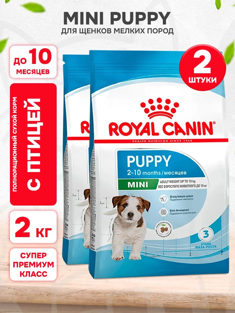 Корм сухой Royal Canin Mini Puppy для щенков мелких пород в возрасте до 10 месяцев, 2 кг х 2 шт