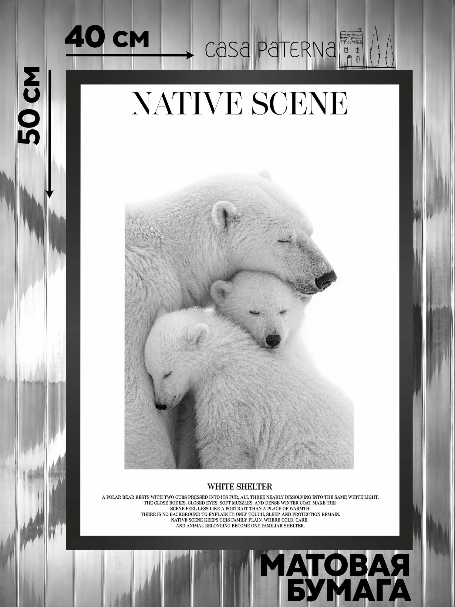 Постер на стену 40х50 Native Scene #44, черно-белая фотография для интерьера, чб без рамки Casa Paterna