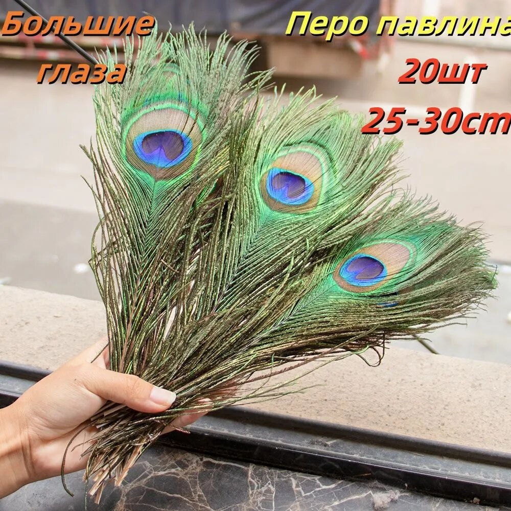 Петит