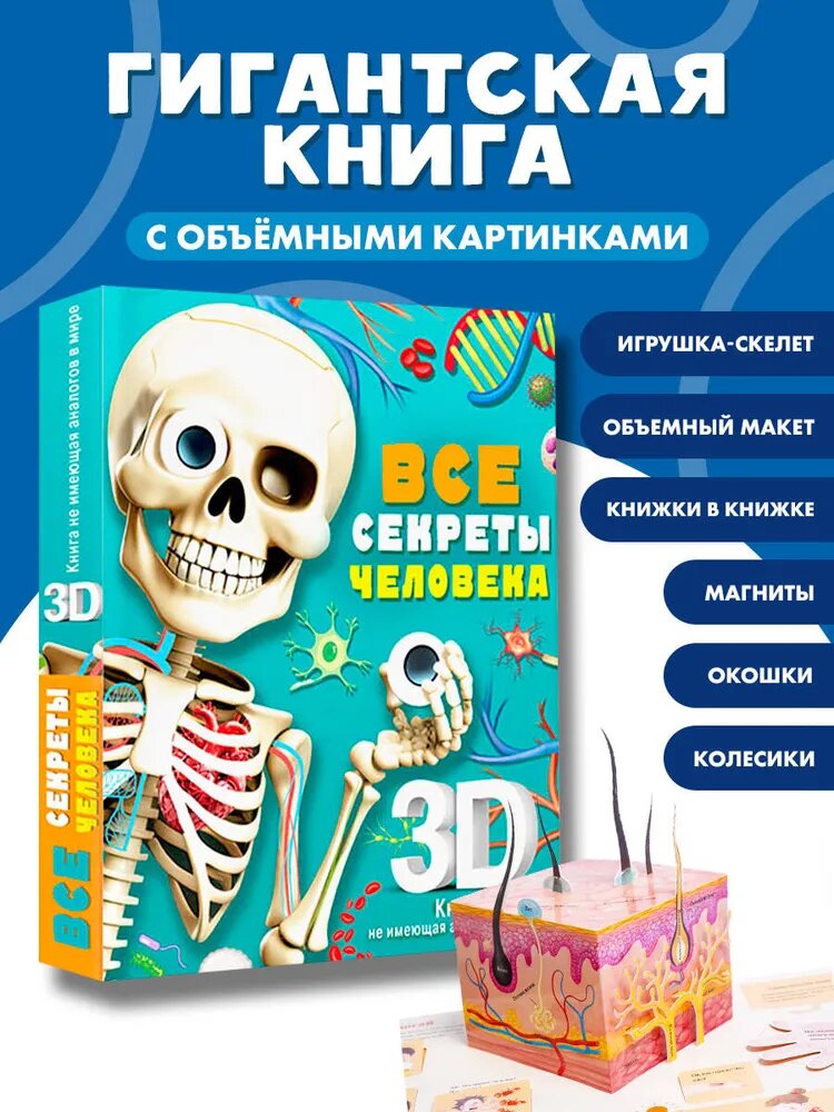 Книга с объёмными картинками «Тело человека. Все секреты человека», Сушкова М. В, АСТ