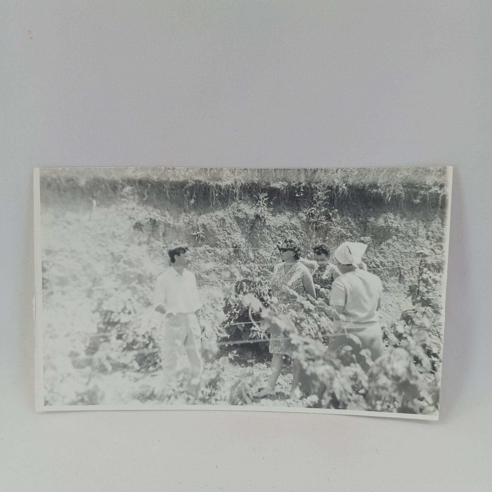 Фотография винтажная, СССР. Черно белый снимок с отдыхающими на природе, авторская подпись с оборота