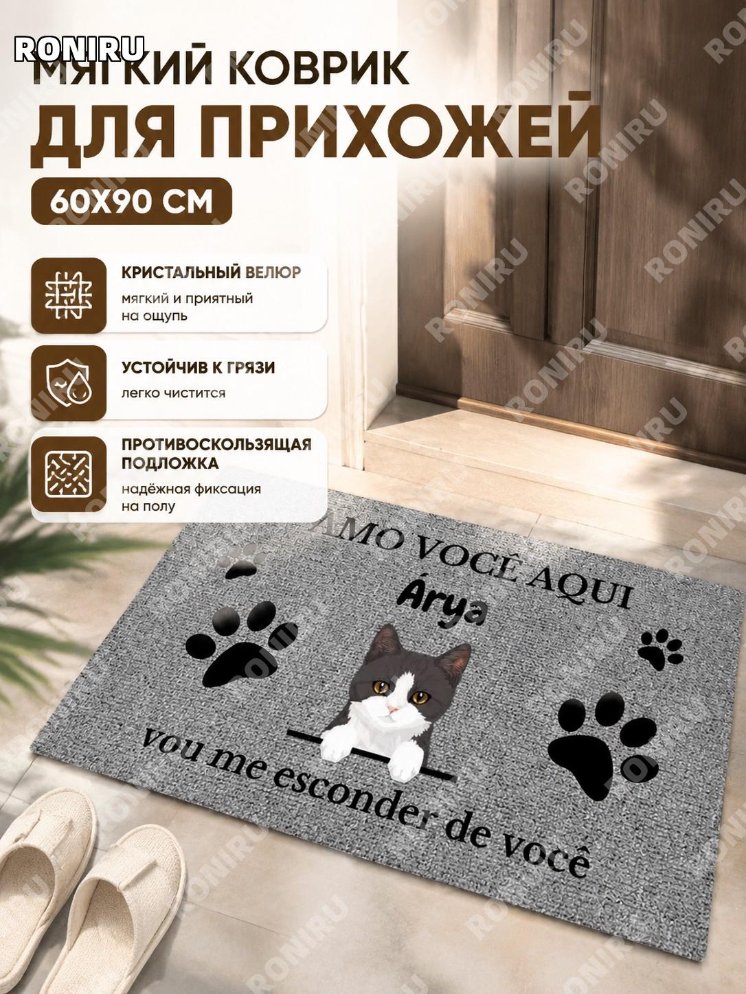 Придверный коврик 60×90 см ZYpet-17 из полиэстера, хрустальный ворс, силиконовая основа для прихожей и дома уют