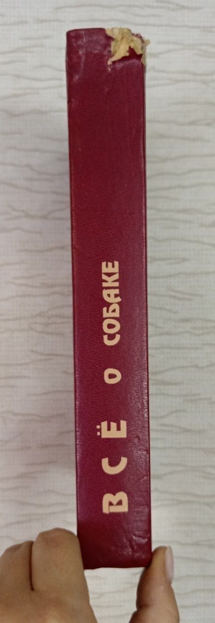 Всё о собаке — фото 1