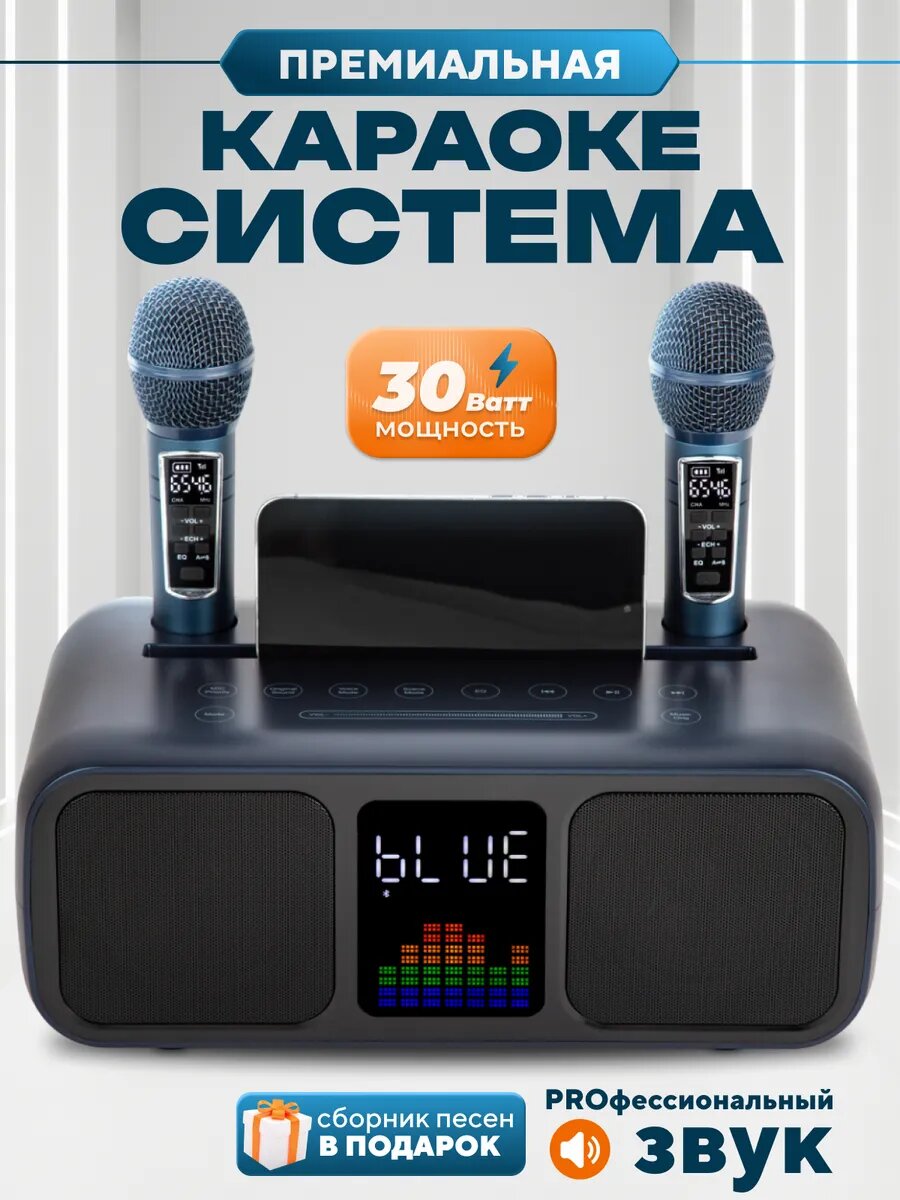 Портативная караоке-система SDRD SD-318, с двумя динамиками 30 Вт