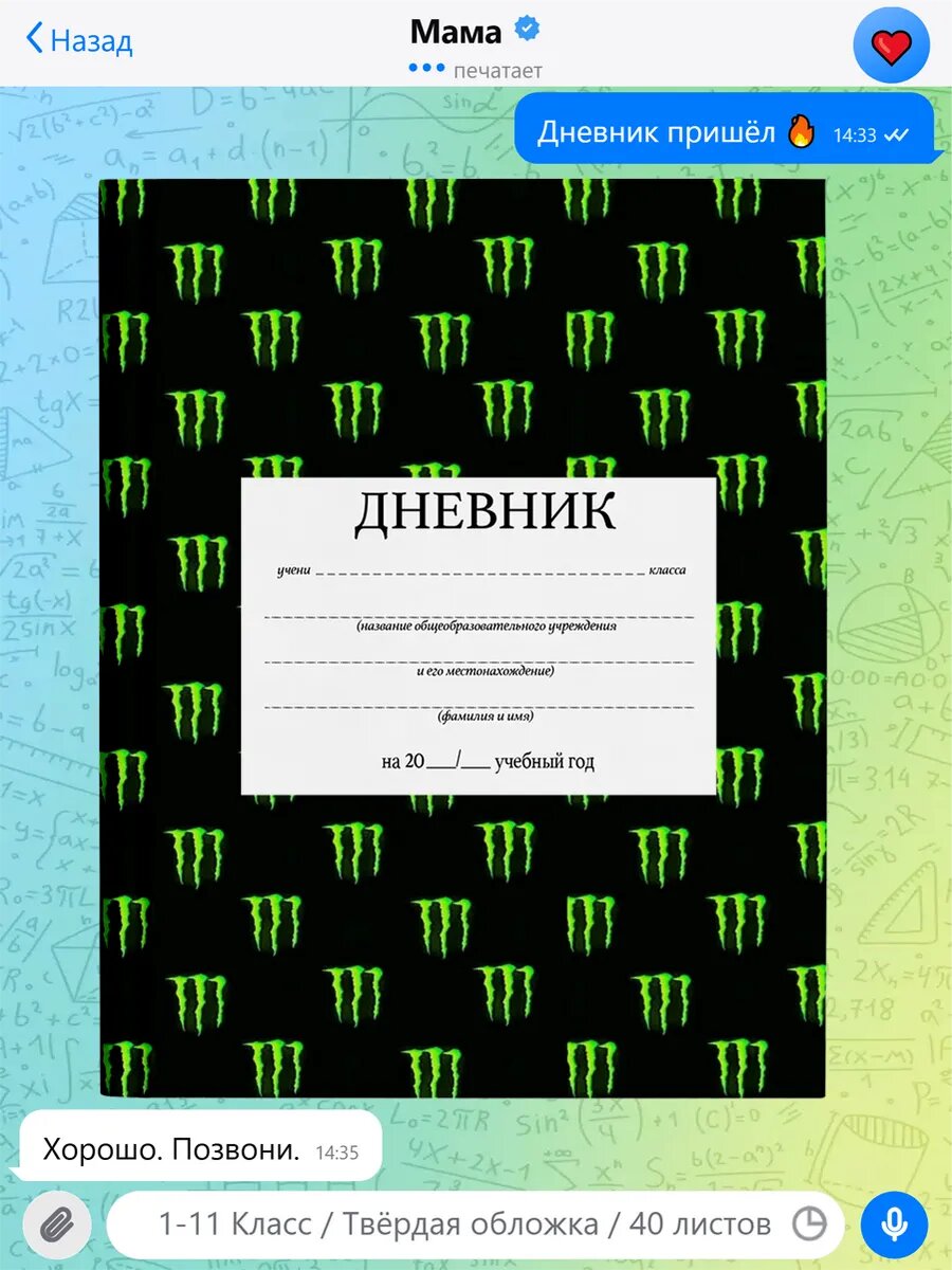 Школьный дневник с принтом Роблокс