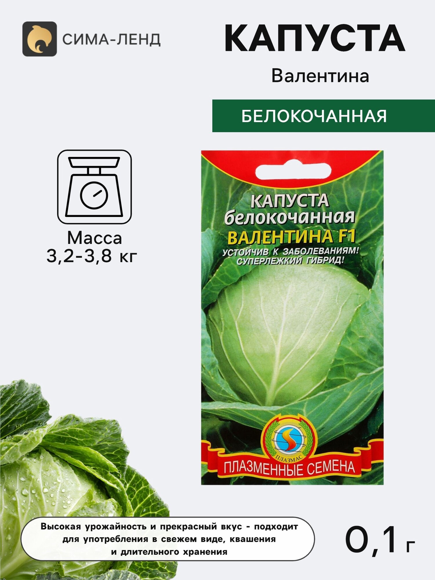 Семена Капуста белокочанная «Валентина», F1, 0.1 г, «Плазмас»
