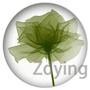 Стеклянные кабошоны Zdying 5 шт. 20 мм, HB084