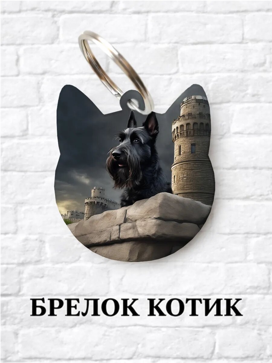 Брелок ZHENYA CLOUD