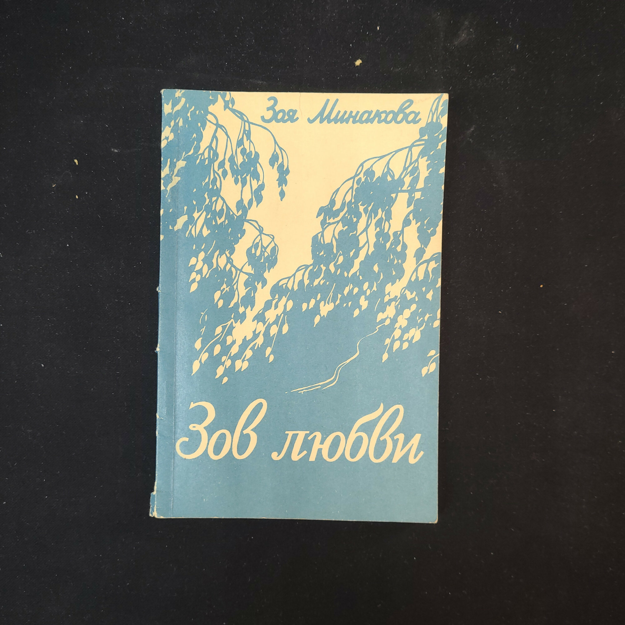 Зоя Минакова. Зов любви. Книга. Стихи