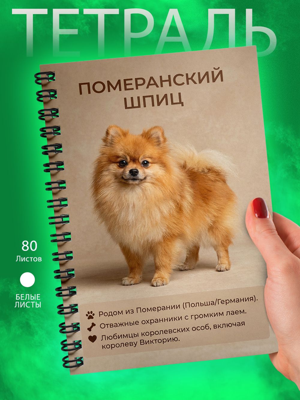 Тетрадь - А5 - Померанский шпиц