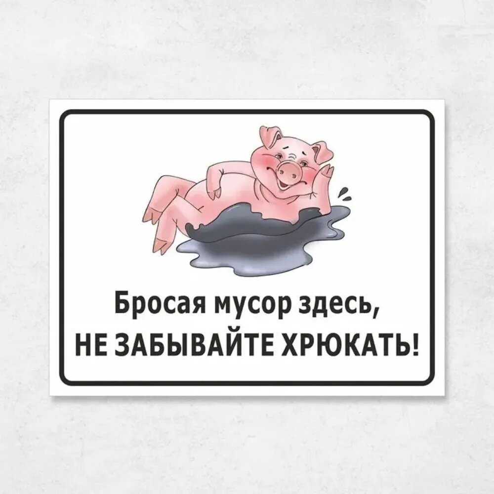 Табличка "Бросая мусор не забывайте хрюкать", 27х20 см