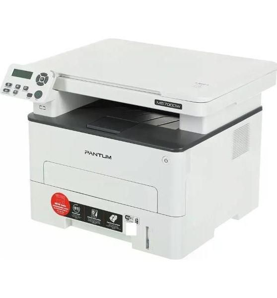 Многофункциональное устройство Pantum M6700DW