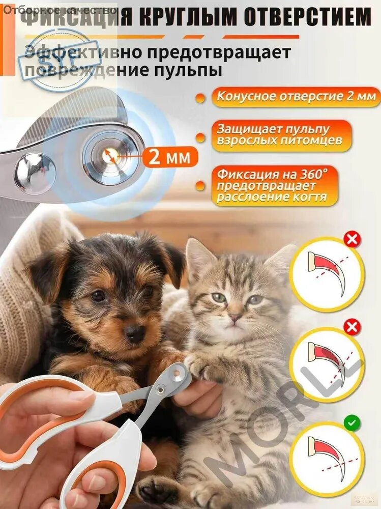Когтерезка для кошек с ограничителем, ножницы для когтей кошек, нержавеющие лезвия, для маленьких питомцев, ора