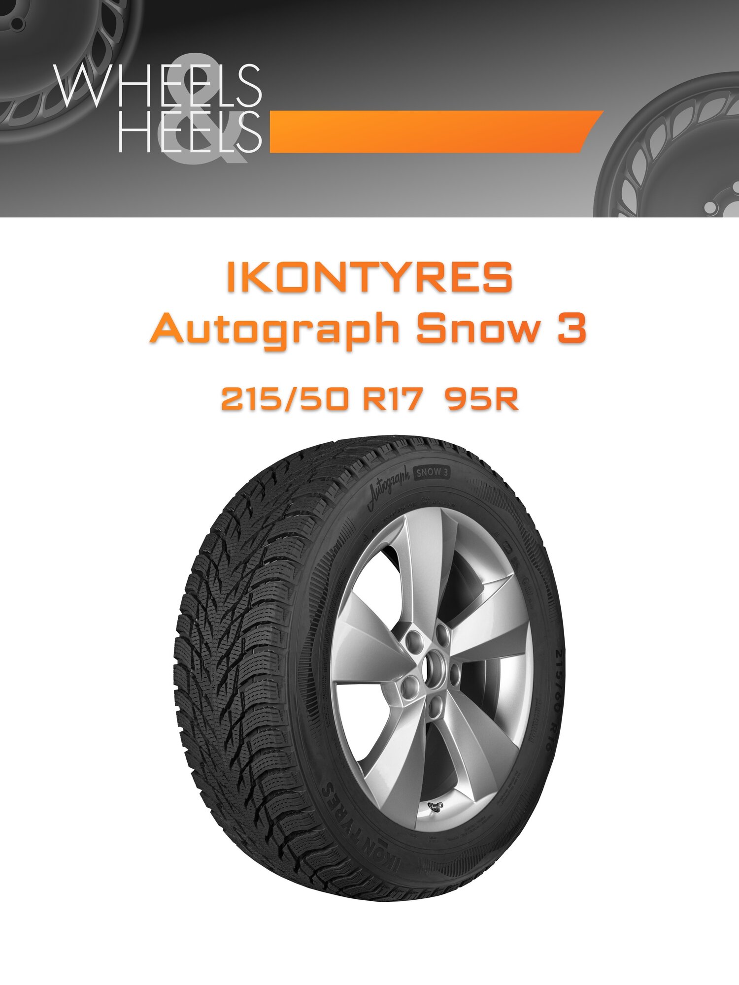 Шина автомобильная IKONTyres Autograph Snow 3 215/50 R17 95R XL WINTER, зимняя, универсальная