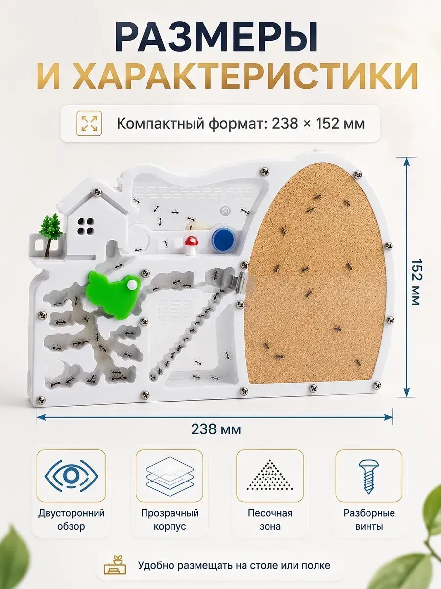 Муравьиная ферма — фото 1